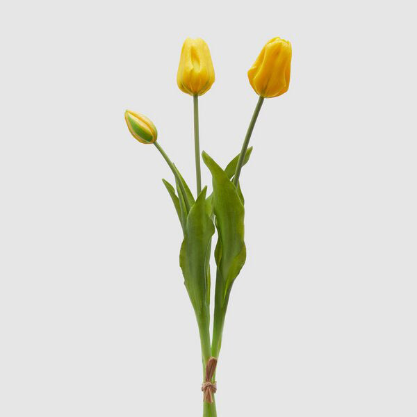RAMO TULIPA AMARELO 48CM – RD Atelier
